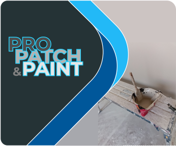 Pro Patch & Paint